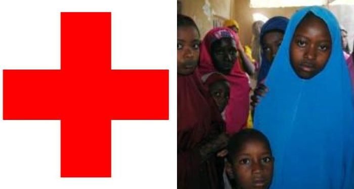 Over 11,000 Children Missing In Nigeria - Red Cross